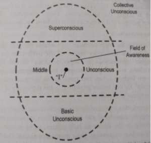 Self-Regulation & the Egg Diagram - Molly Young Brown